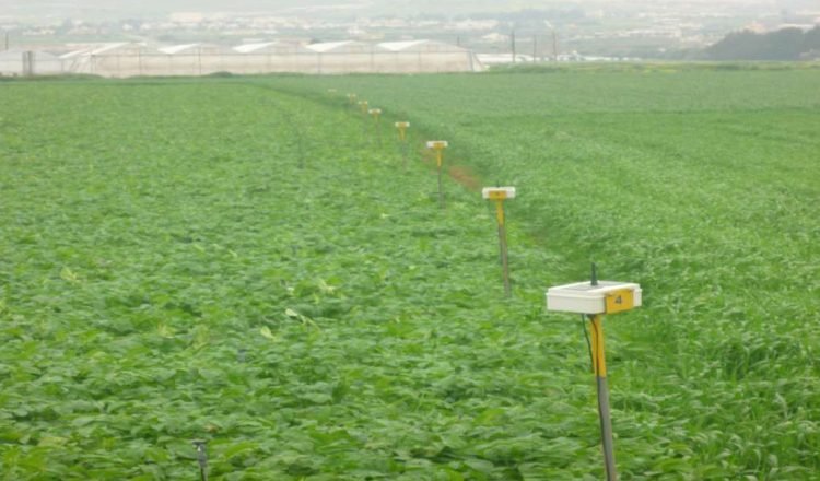 Detection of Water Pipes and Leakages in Rural Water Supply Networks ...